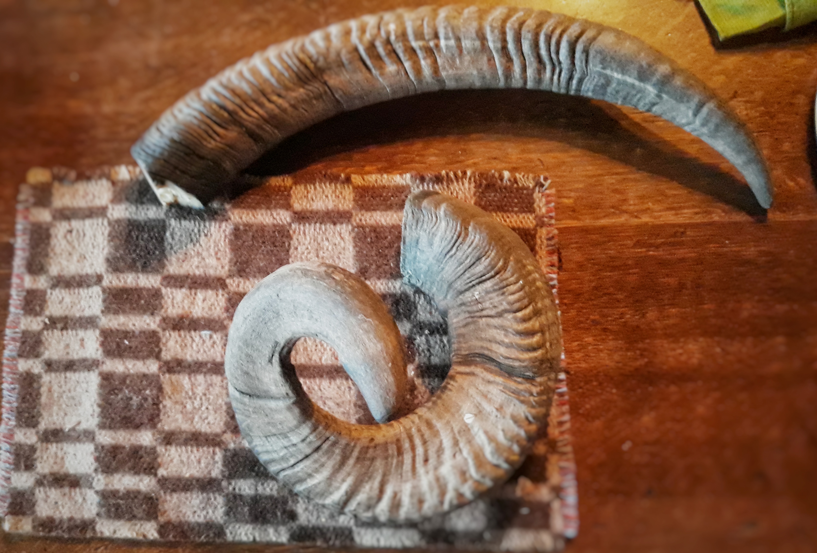 pax cakes | British Food: A History