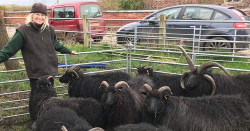 pax cakes | British Food: A History