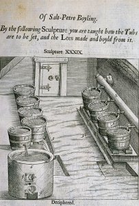 Saltpetre and Salt Prunella | British Food: A History