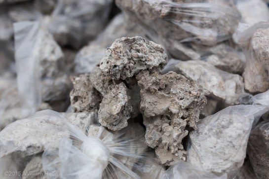 Saltpetre and Salt Prunella | British Food: A History