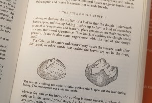 Favourite Cook Books No.5: ‘English Bread & Yeast Cookery’ by Elizabeth ...