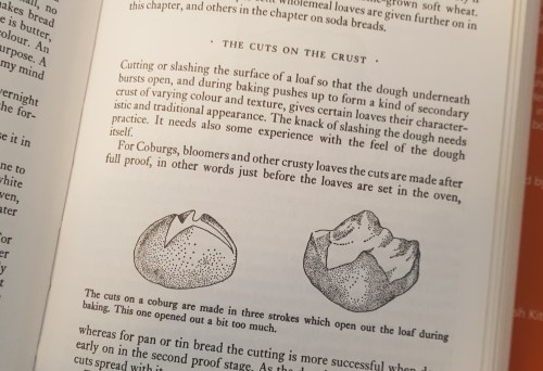 Favourite Cook Books No.5: ‘English Bread & Yeast Cookery’ by Elizabeth ...